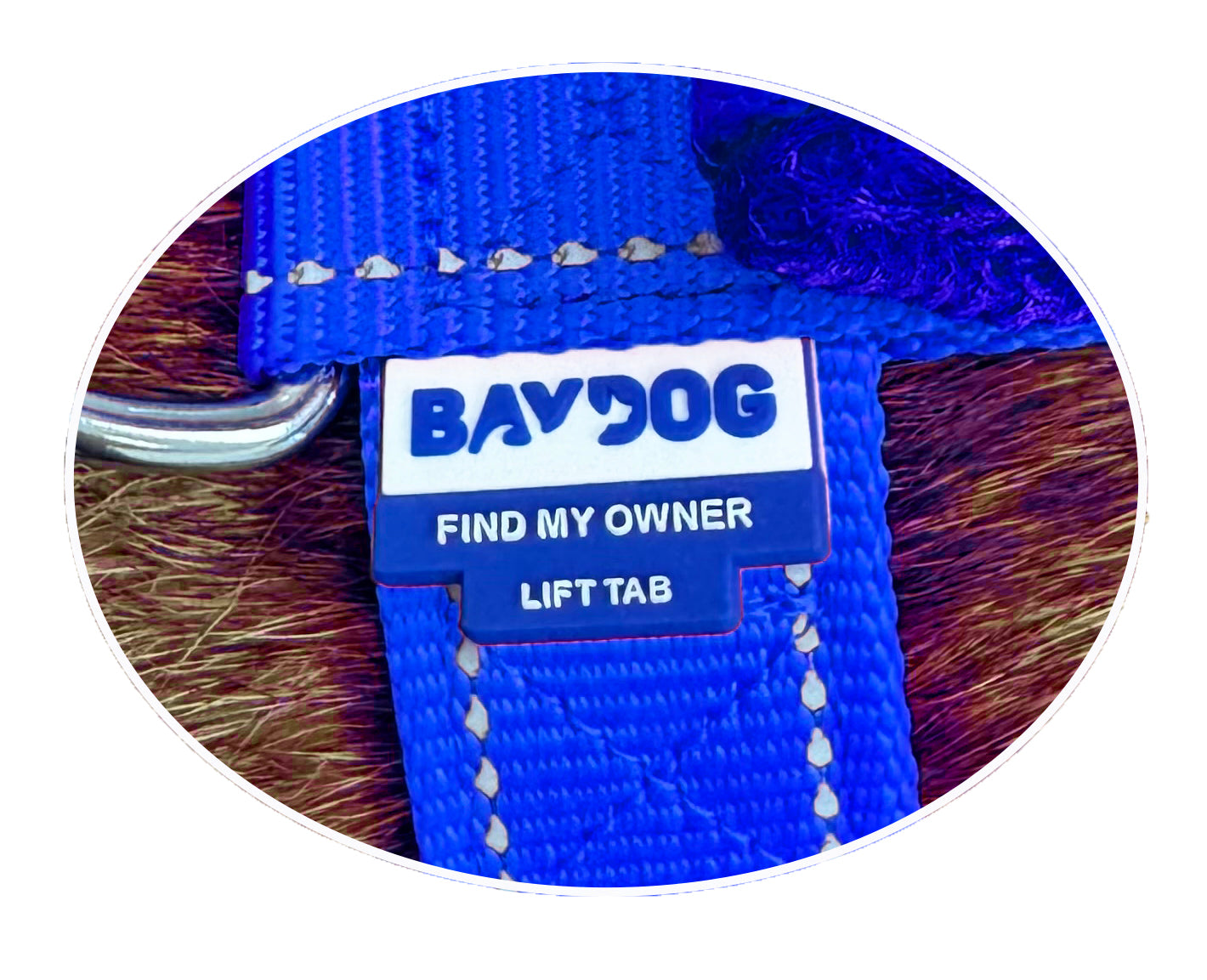 BAYDOG Chesapeake Dog Harness | Lightweight, Premium Dog Harness