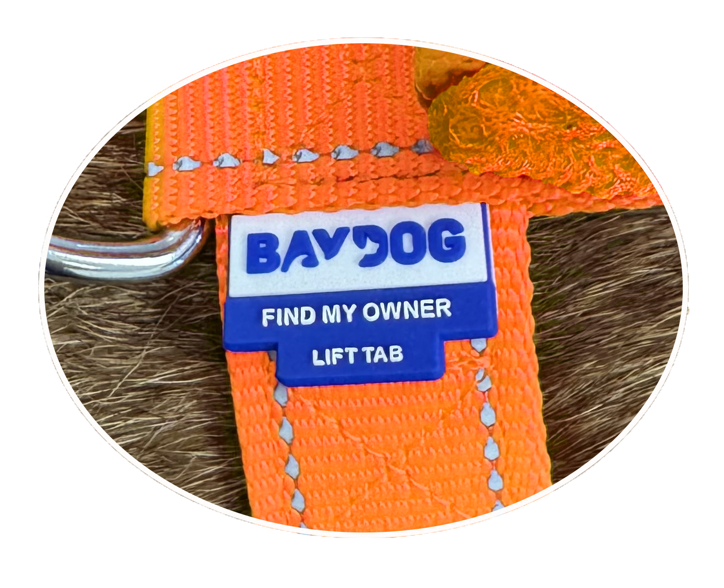 BAYDOG Chesapeake Dog Harness | Lightweight, Premium Dog Harness
