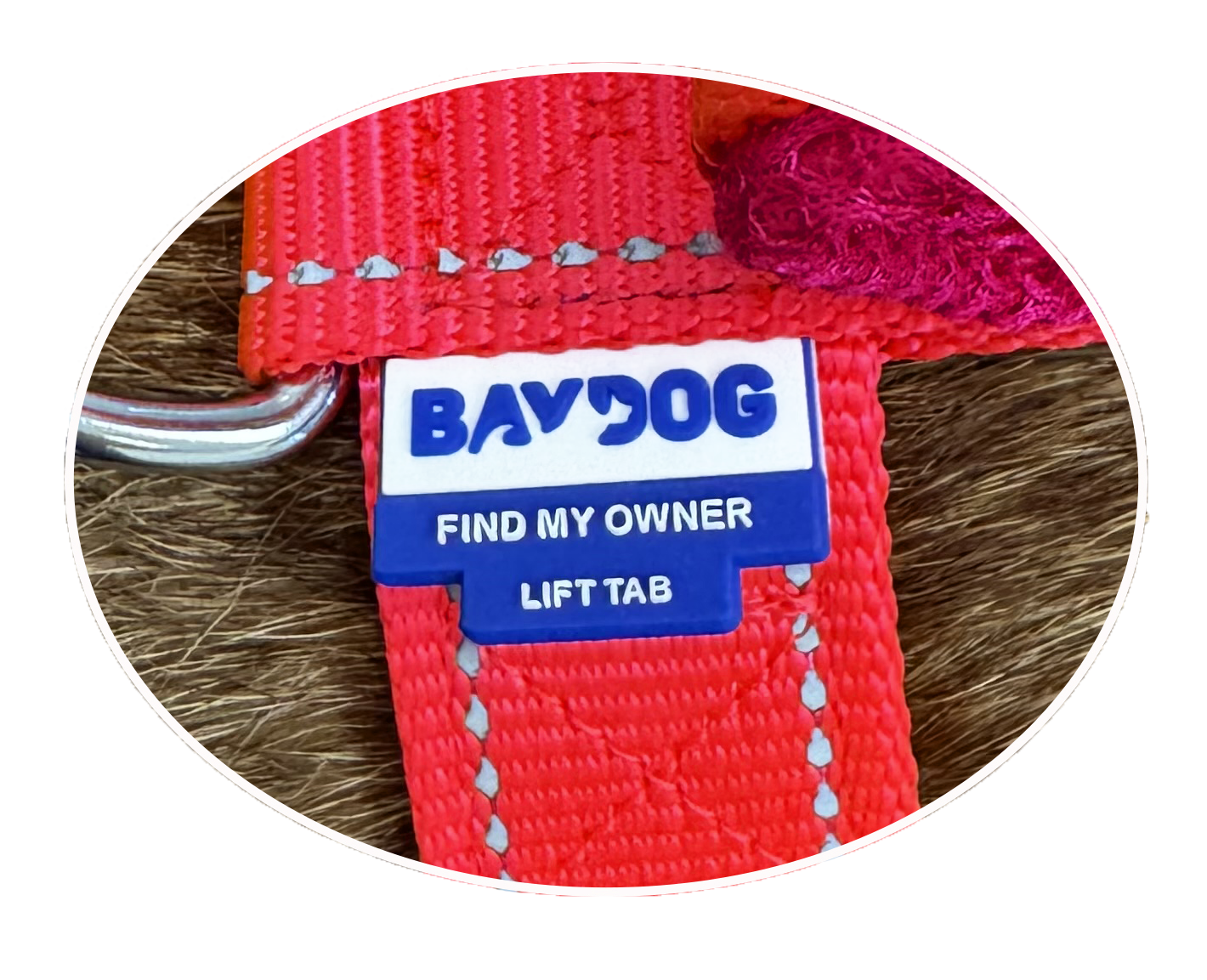 BAYDOG Chesapeake Dog Harness | Lightweight, Premium Dog Harness