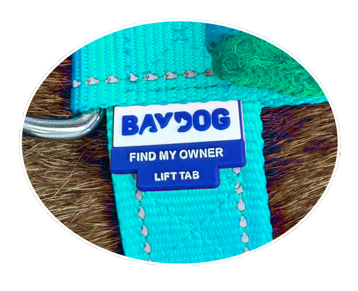 BAYDOG Chesapeake Dog Harness | Lightweight, Premium Dog Harness